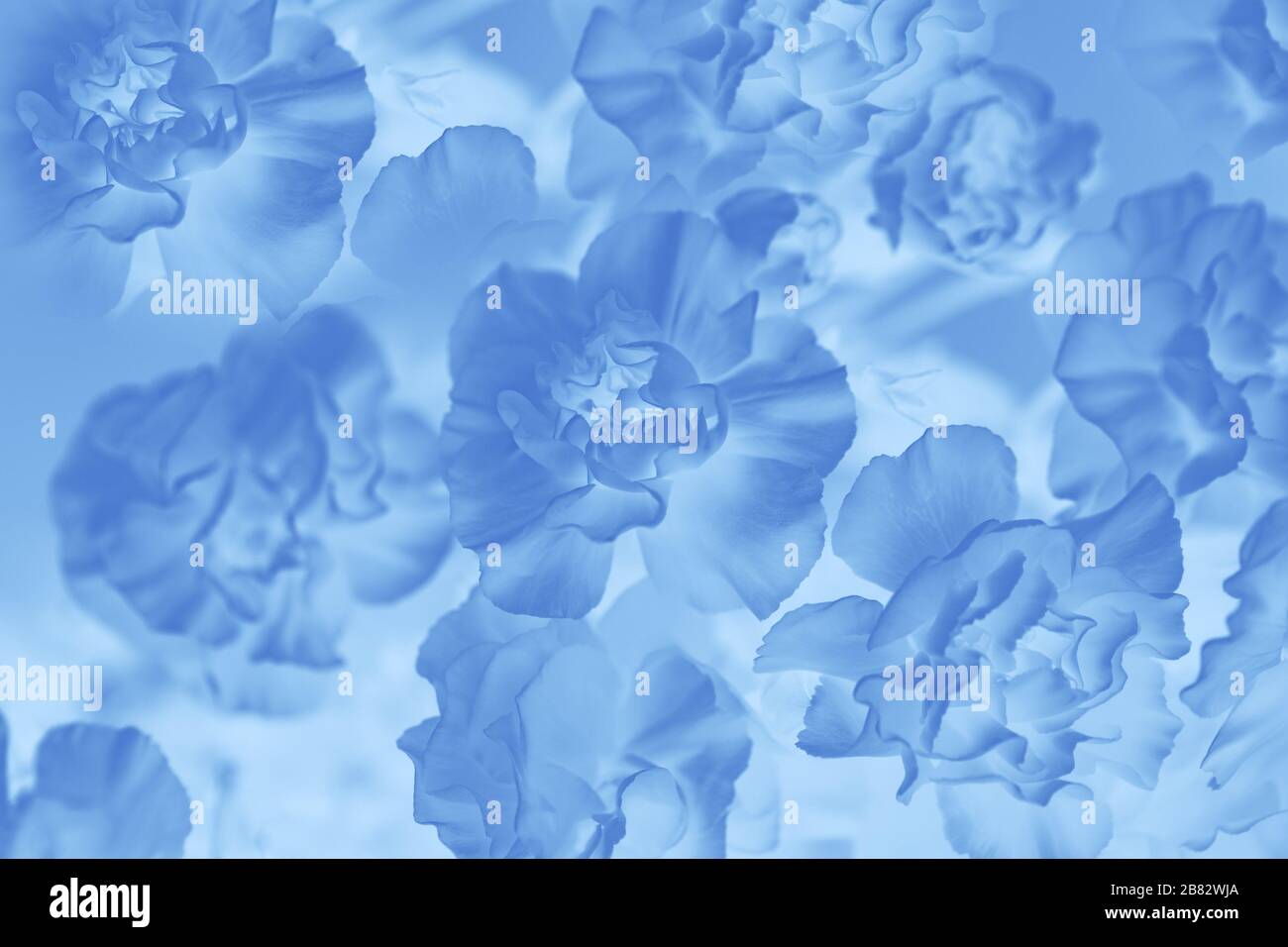 Classic blue color abstract background. Floral gradient background ...