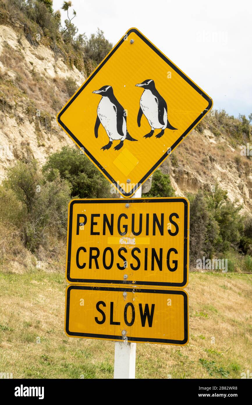Road sign penguin hi-res stock photography and images - Alamy