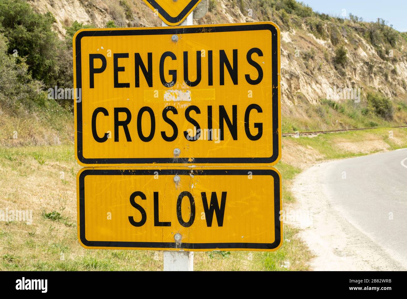 road sign warning of penguins crossing the road, Tairoa Head, South ...