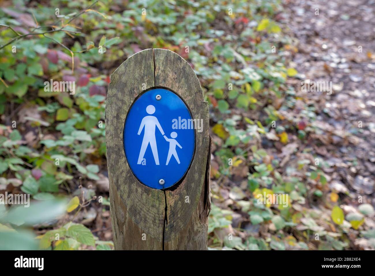 Sign parental supervision or walking area in the forest in blue Stock ...