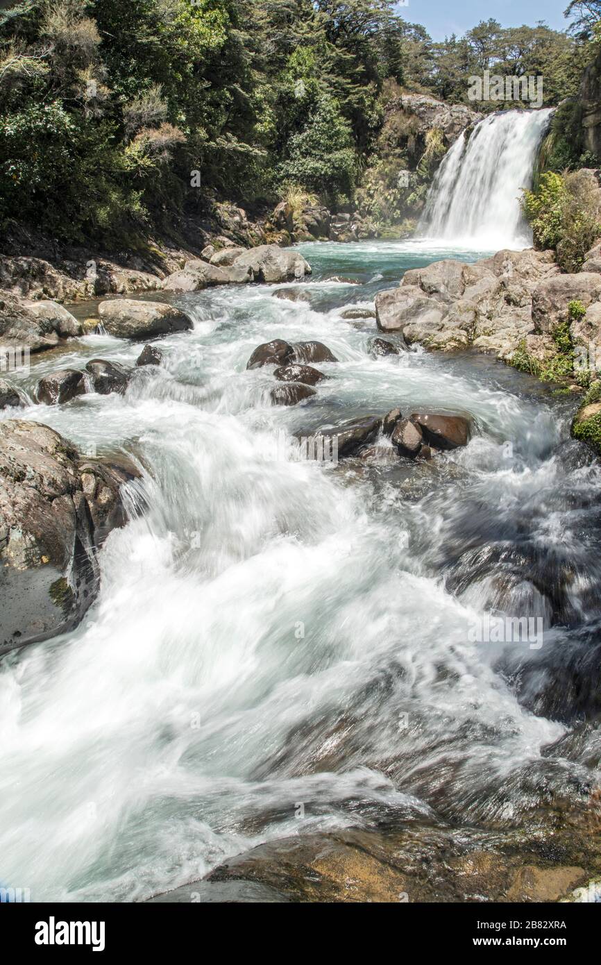 view of Tawhai Falls, near Turangi, North Island, New Zealand Stock ...