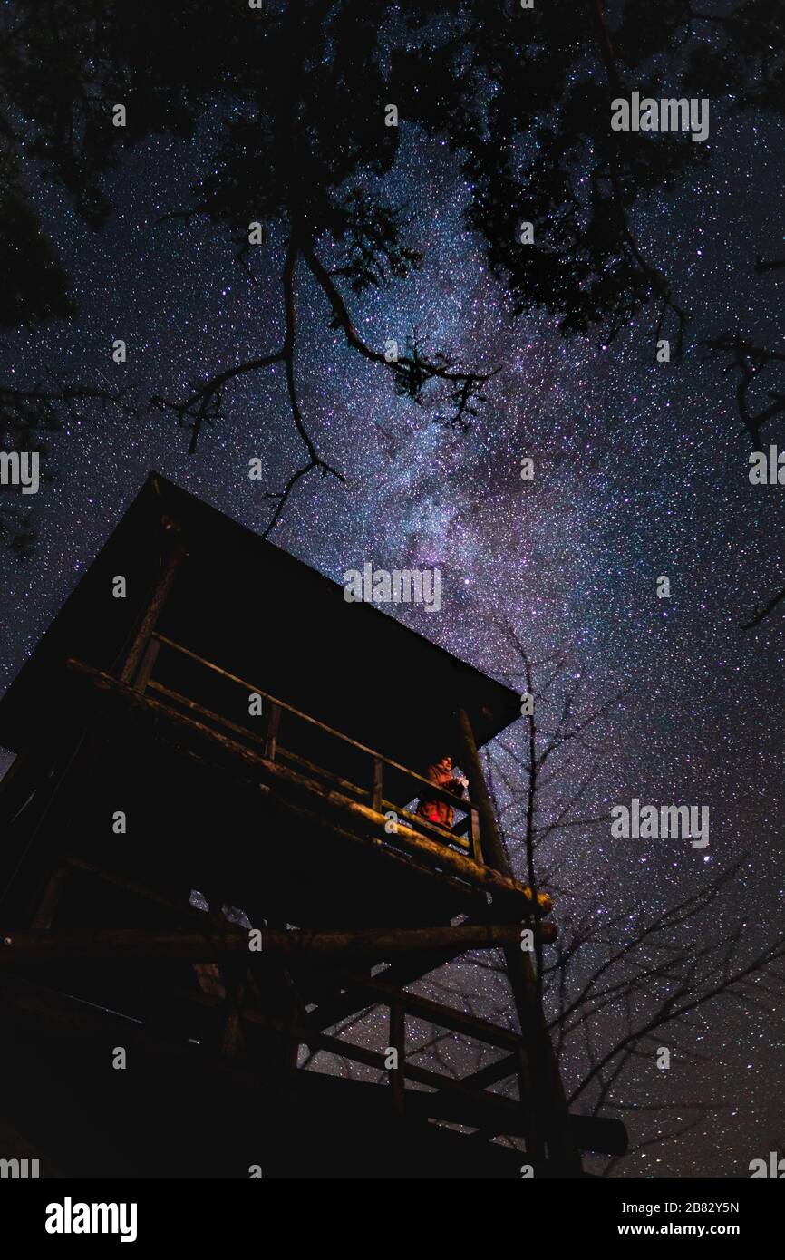 Star filled night sky. watchtower in the forest at night Stock Photo ...
