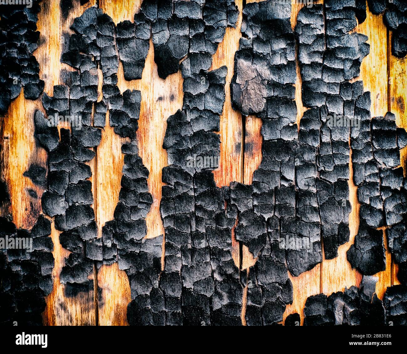 Burnt Tree Trunk, Close-Up Stock Photo - Alamy