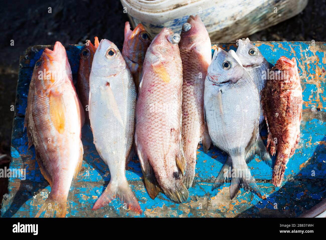 Essaouira seafood hi-res stock photography and images - Alamy