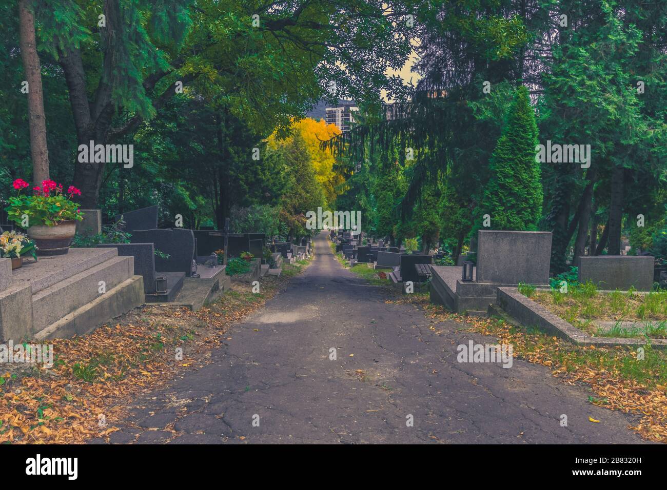 dramatic tombstones in scenic cemetery at colorful autumn Stock Photo ...