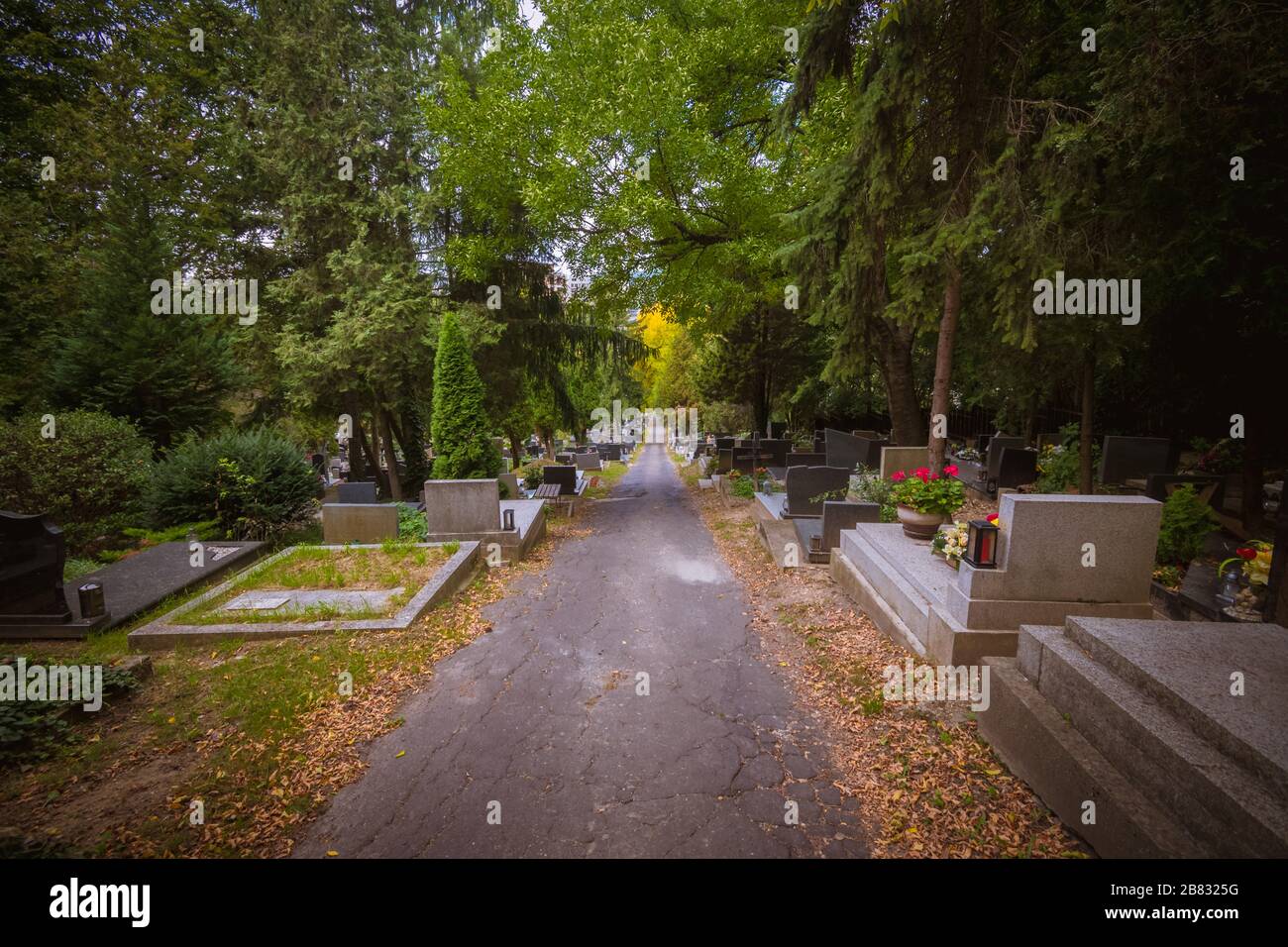 dramatic tombstones in scenic cemetery at colorful autumn Stock Photo ...