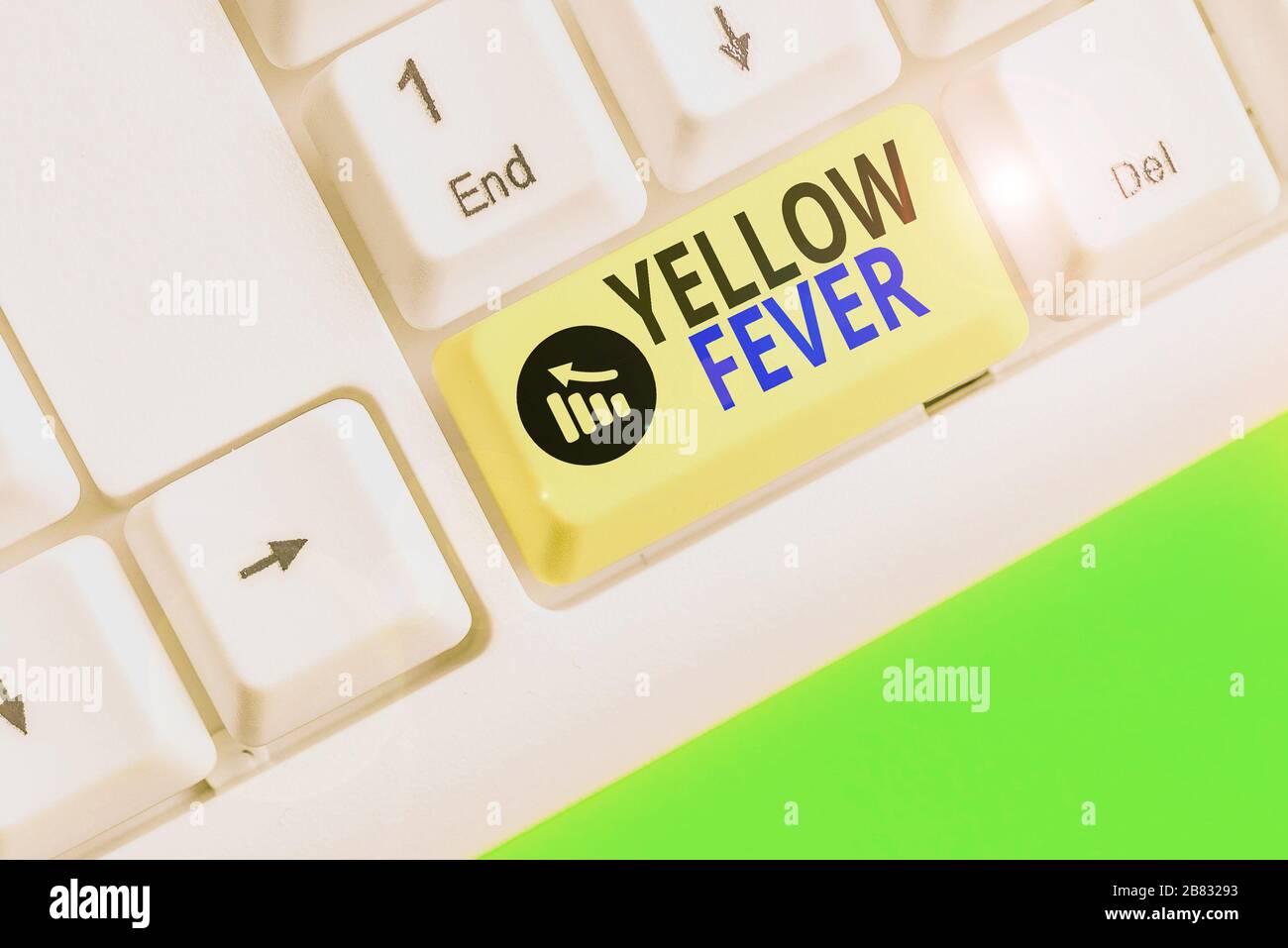 Text sign showing Yellow Fever. Business photo text tropical virus ...
