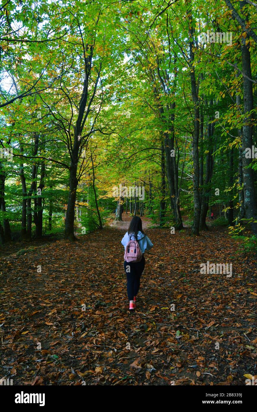 Ojas hi-res stock photography and images - Alamy