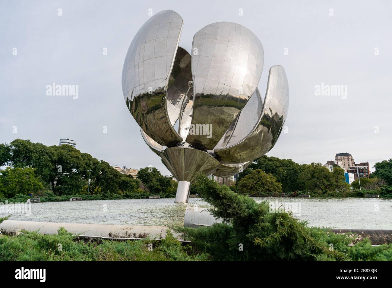 Floralis genérica hi-res stock photography and images - Alamy