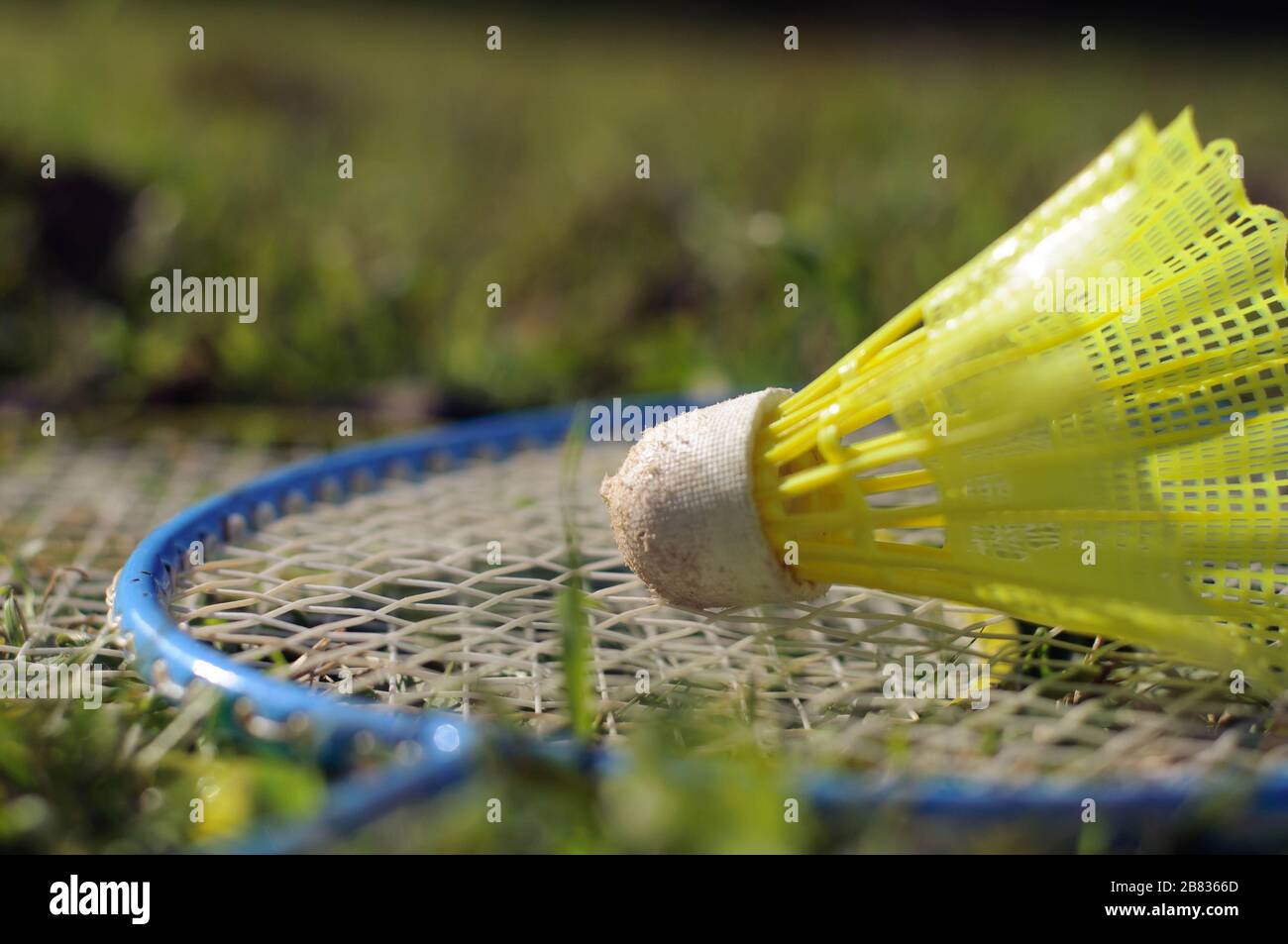 racket and yellow shuttlecock for playing badminton on the grass Stock ...