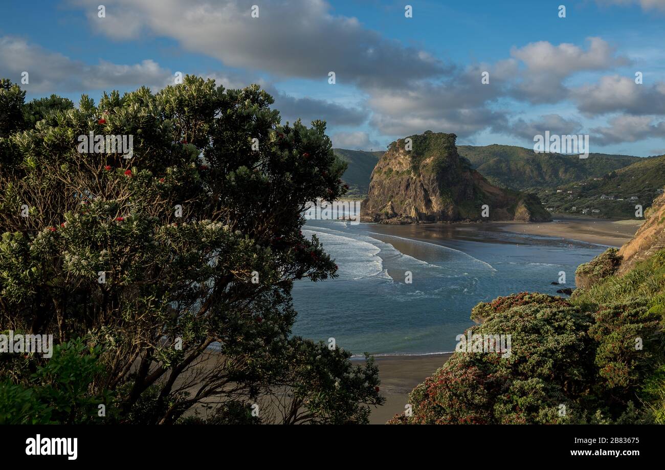 Piha black sand hi-res stock photography and images - Alamy