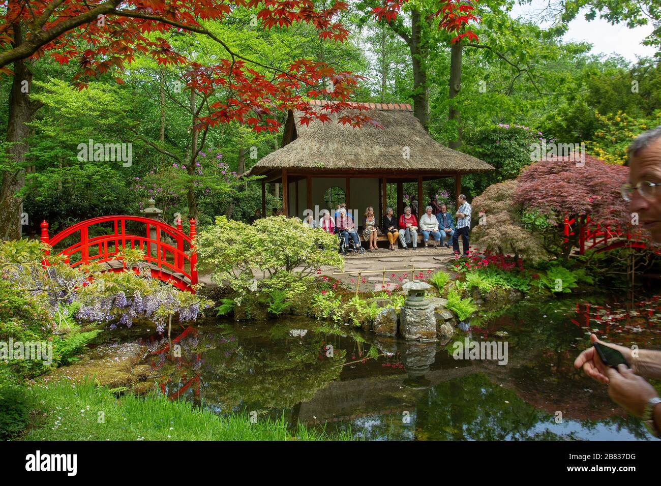 Hague people hi-res stock photography and images - Alamy