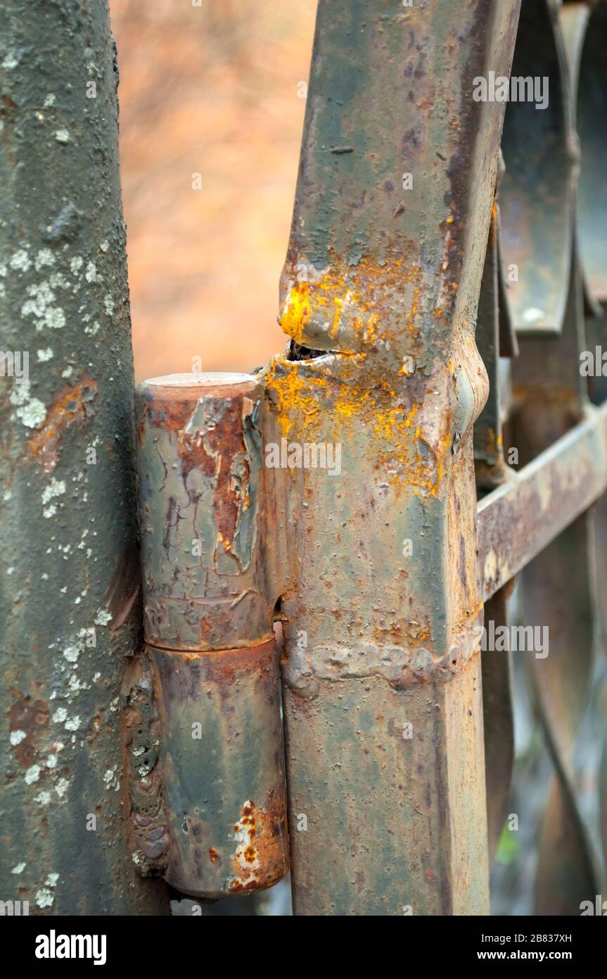 shows a piece slightly rusty of iron gate that is broken, close up ...