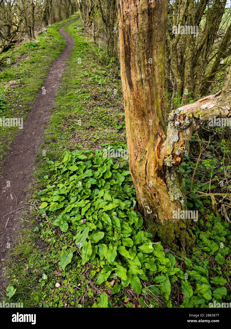 Ancient trackway historic roads hi-res stock photography and images - Alamy