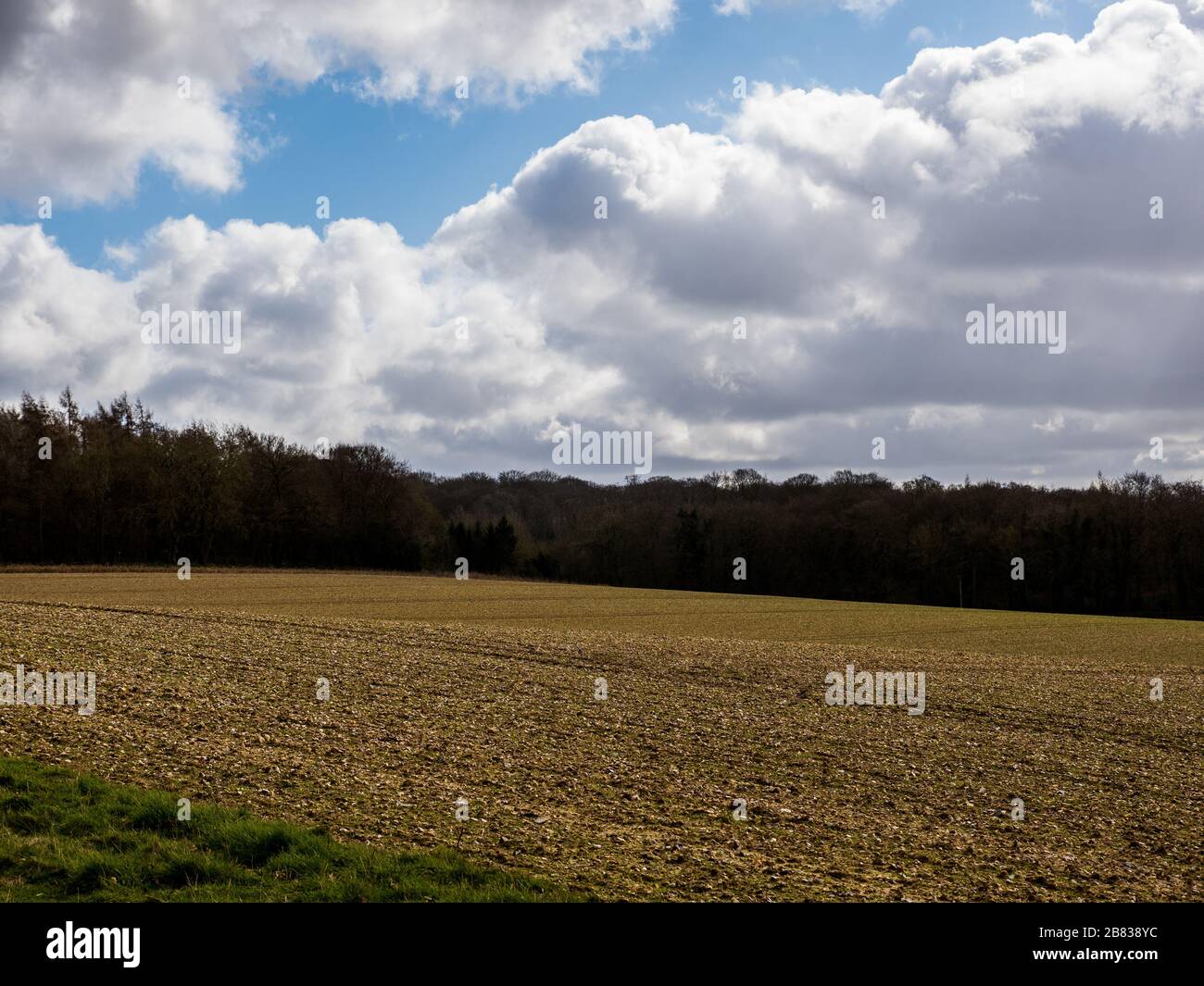 Chiltern Hills, Chiltern Hills AONB, Chilterns, Landscape nr Nuffield ...