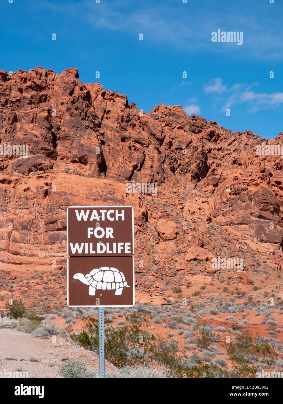 Sign slow turtle hi-res stock photography and images - Alamy