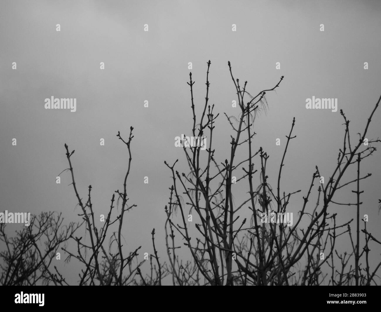 Winter images from a third floor window Stock Photo - Alamy