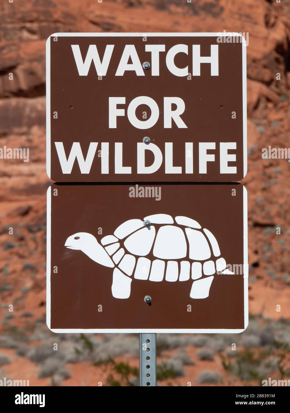 Tortoise warning road sign hi-res stock photography and images - Alamy