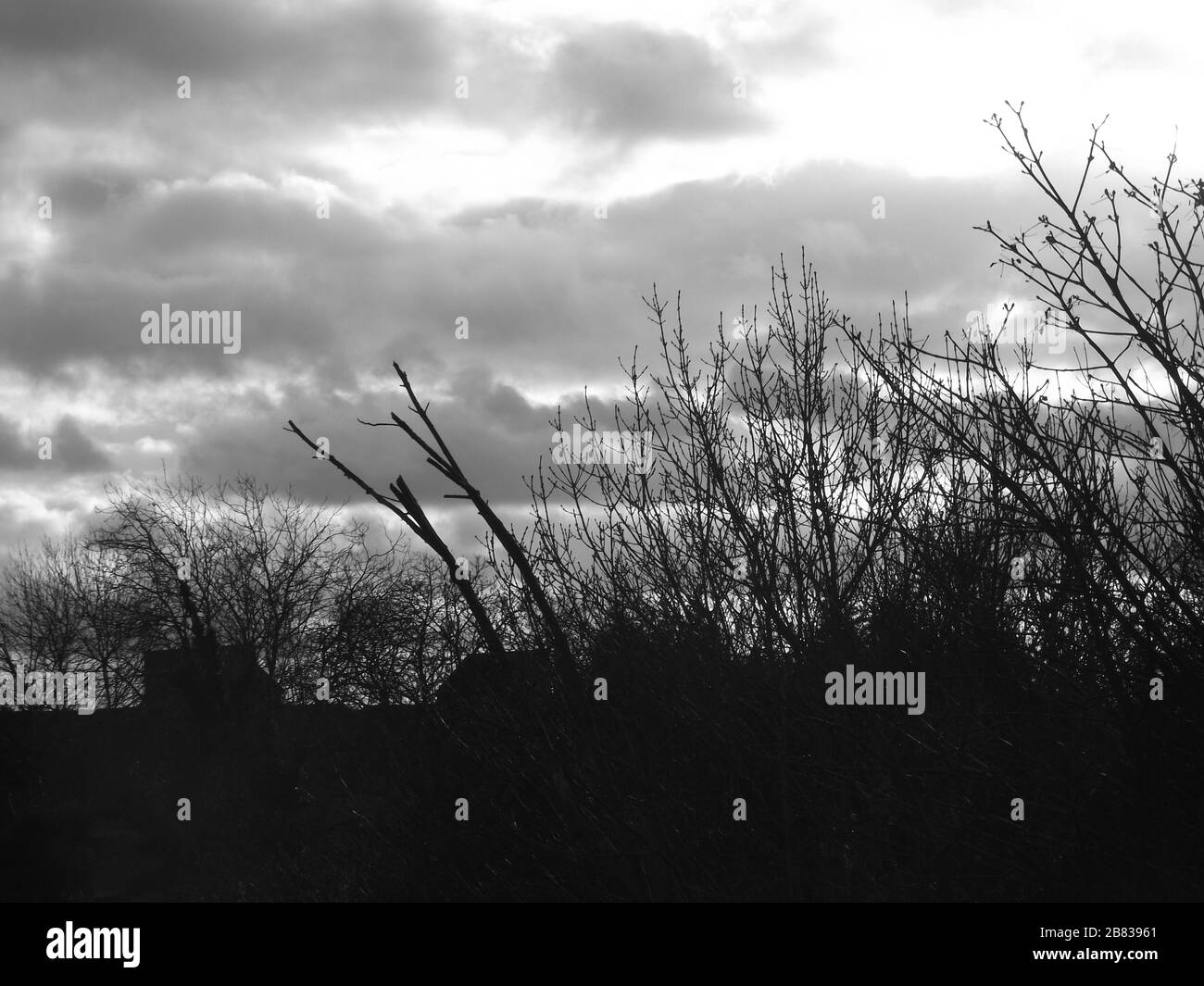 Winter images from a third floor window Stock Photo - Alamy