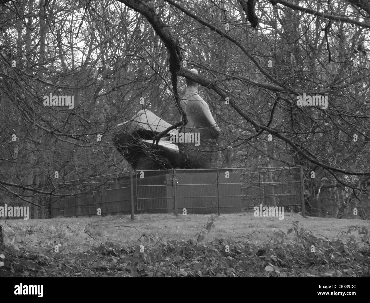 Hampstead heath fall Black and White Stock Photos & Images - Alamy