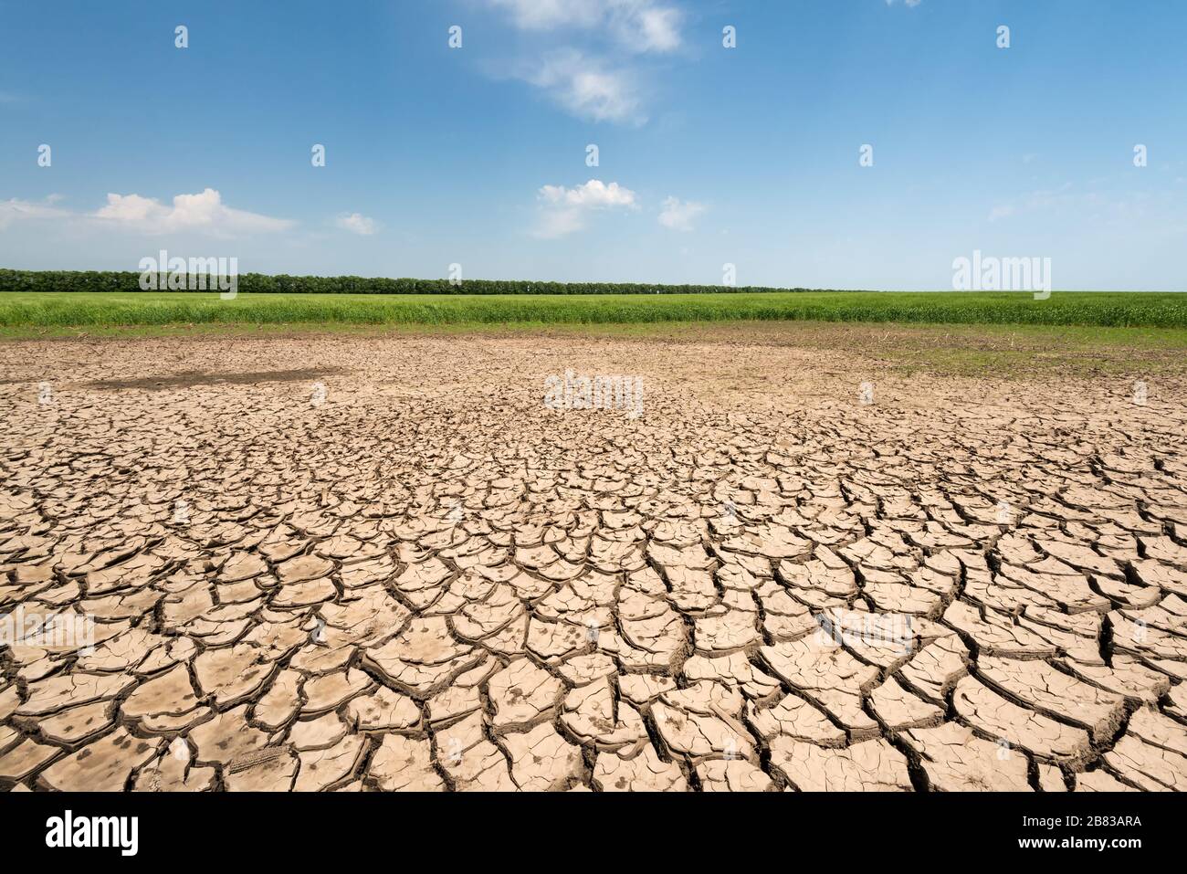 Climate change, the ground is dry, drought, cracked ground Stock Photo ...
