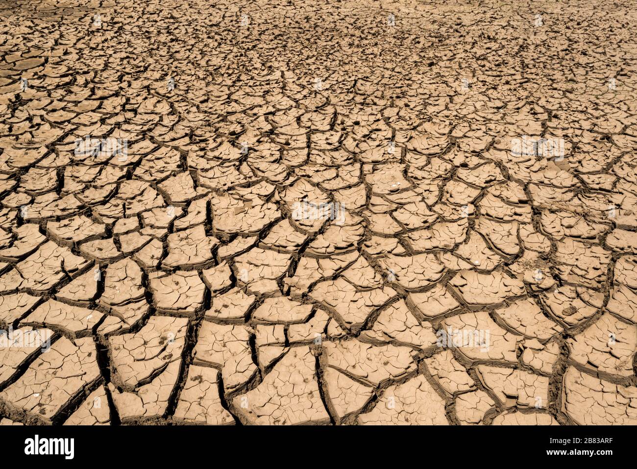 Climate change, the ground is dry, drought, cracked ground Stock Photo ...