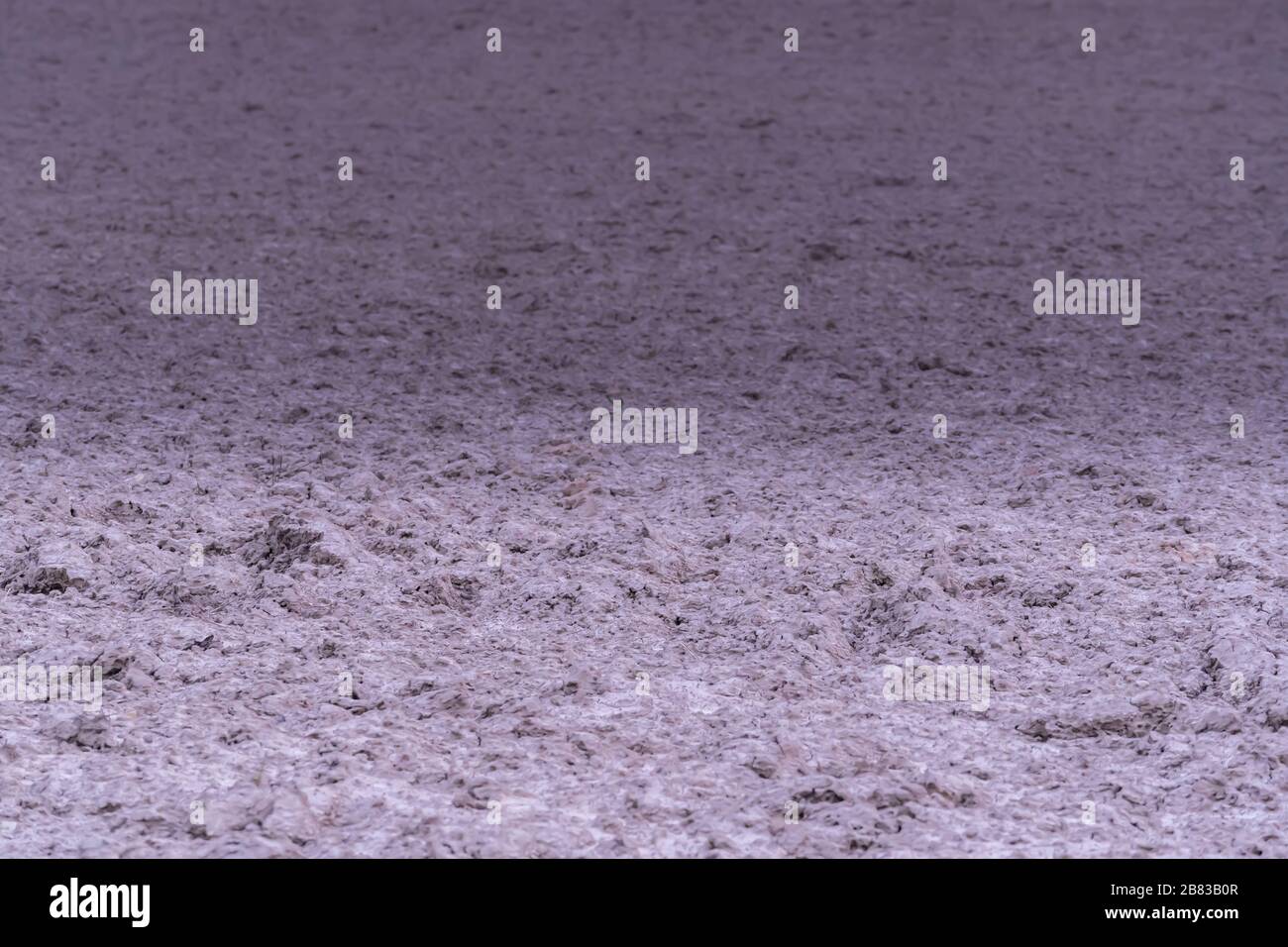 Light soil hi-res stock photography and images - Alamy