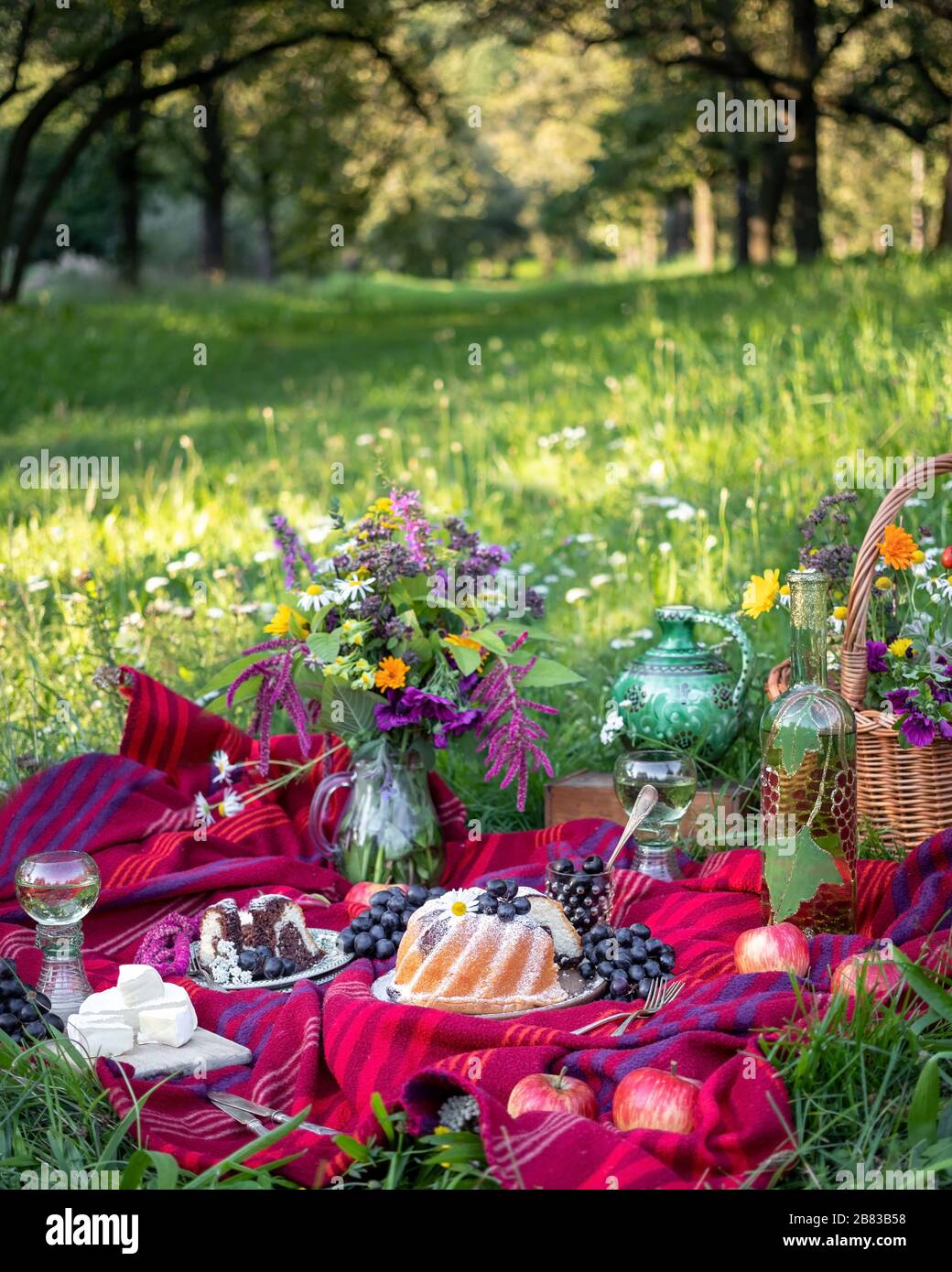 Picnic in a park hi-res stock photography and images - Alamy