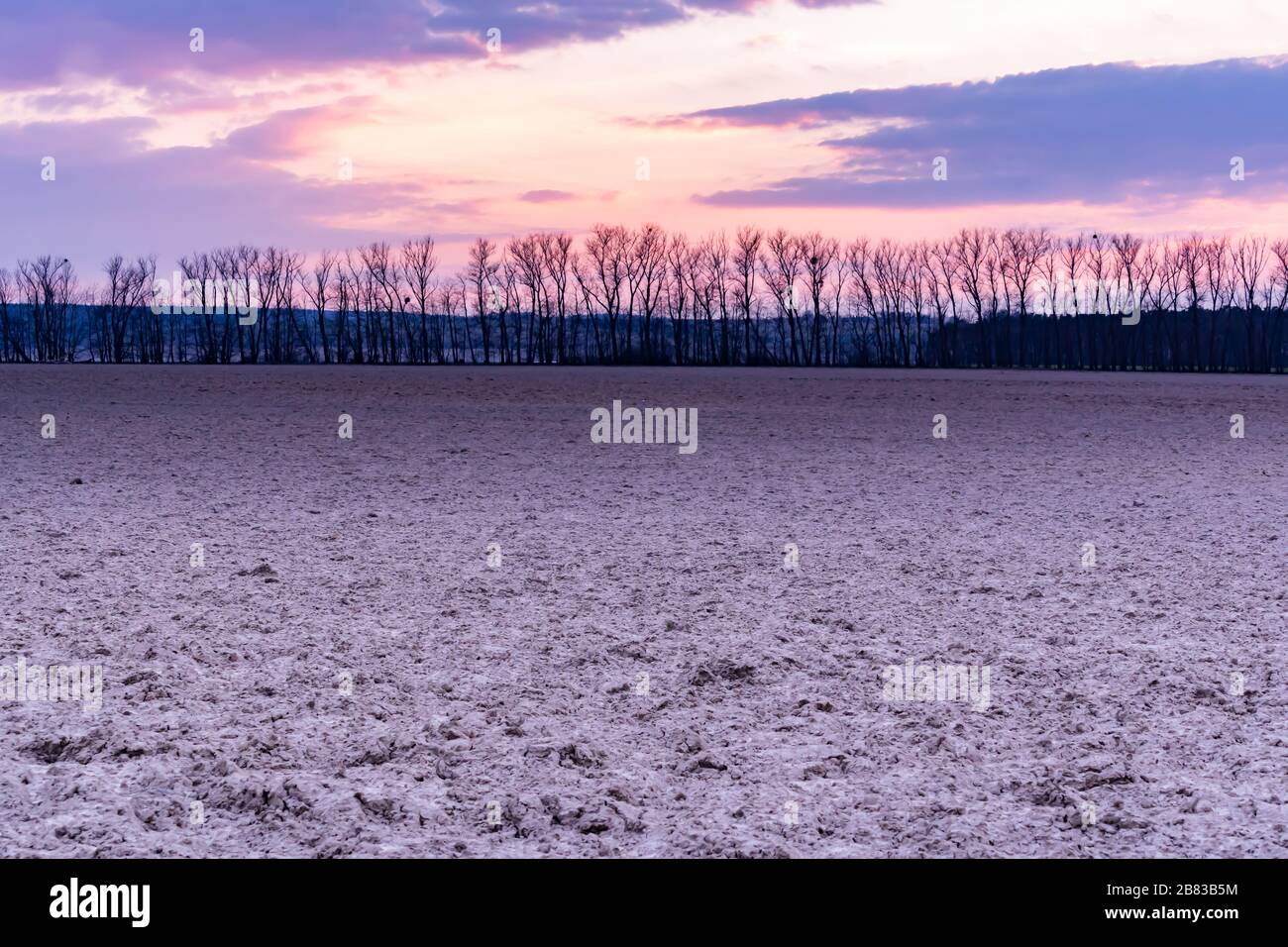 Horizon line trees hi-res stock photography and images - Alamy