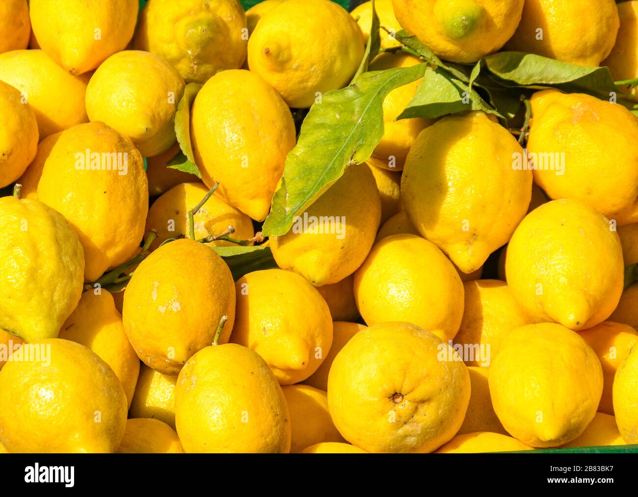Farmers market produce box hi-res stock photography and images - Alamy