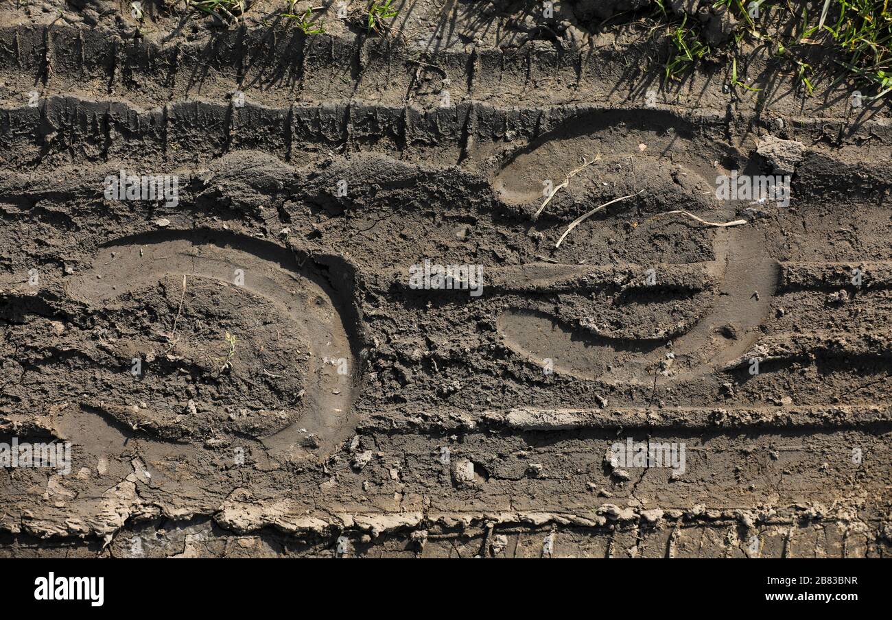Hoof footprint hi-res stock photography and images - Alamy