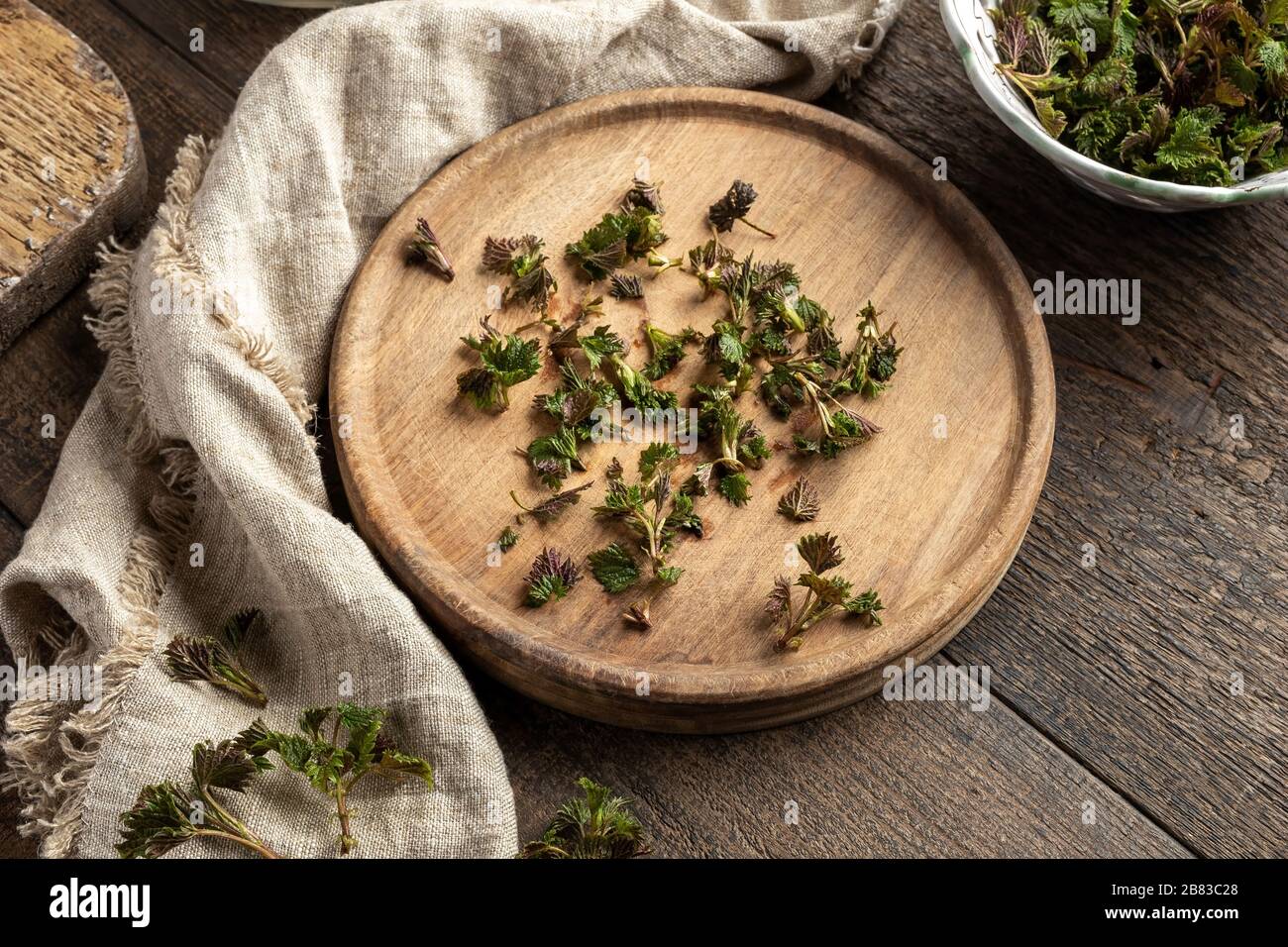 Cut-up young nettles collected in early spring - preparation of herbal ...