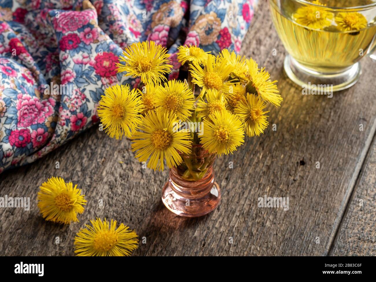 Coltsfoot edible hi-res stock photography and images - Alamy