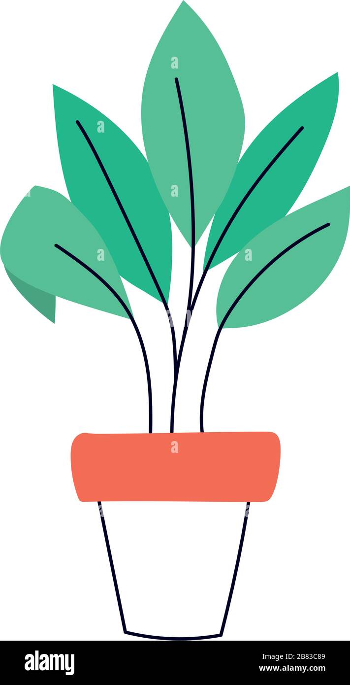 Isolated plant inside pot vector design Stock Vector Image & Art - Alamy