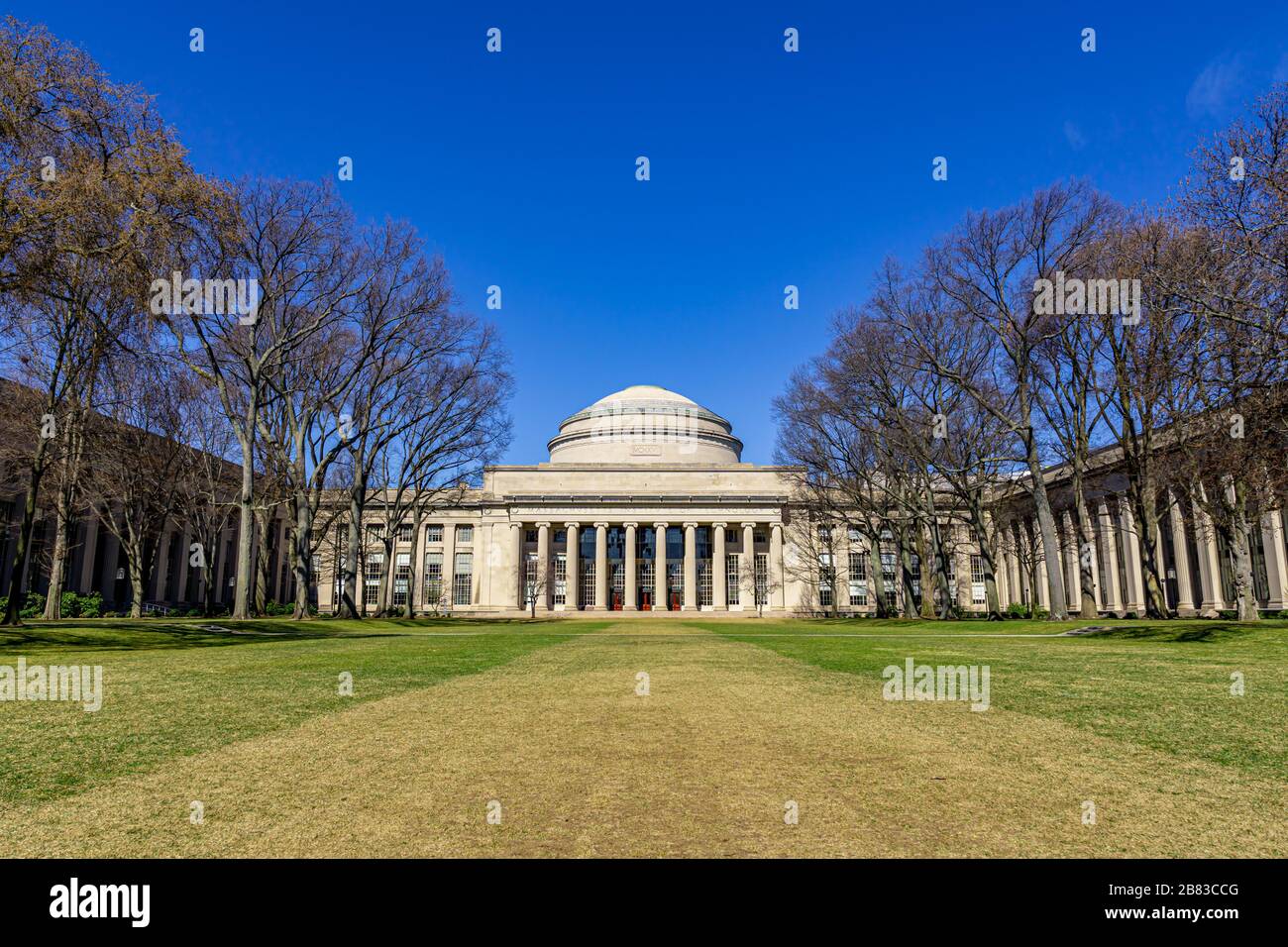 Mit campus students hi-res stock photography and images - Alamy