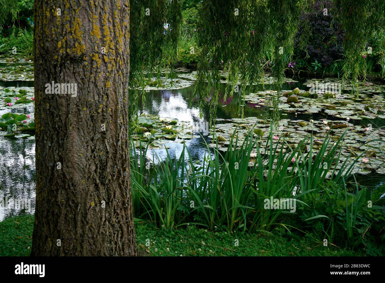 Claud monet hi-res stock photography and images - Alamy