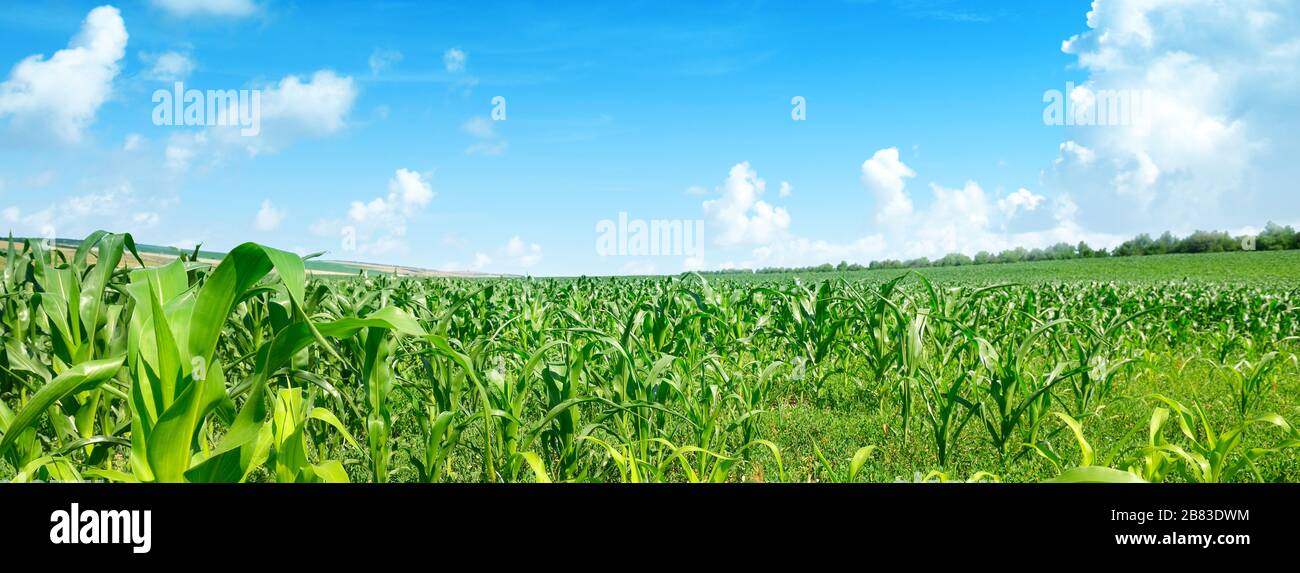 Farmer sunrise hi-res stock photography and images - Alamy