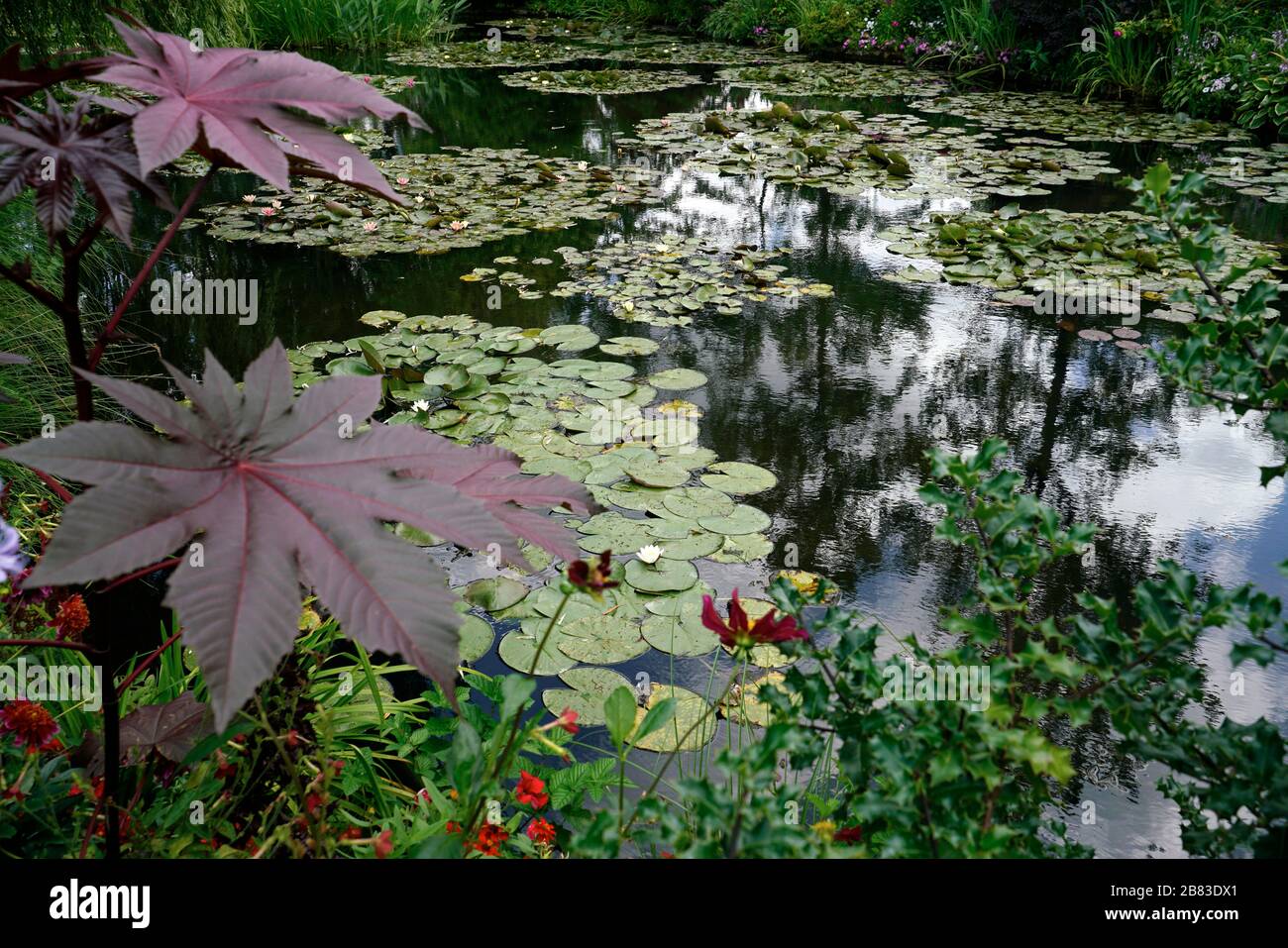 Monets Water Lily Pond High Resolution Stock Photography and Images - Alamy