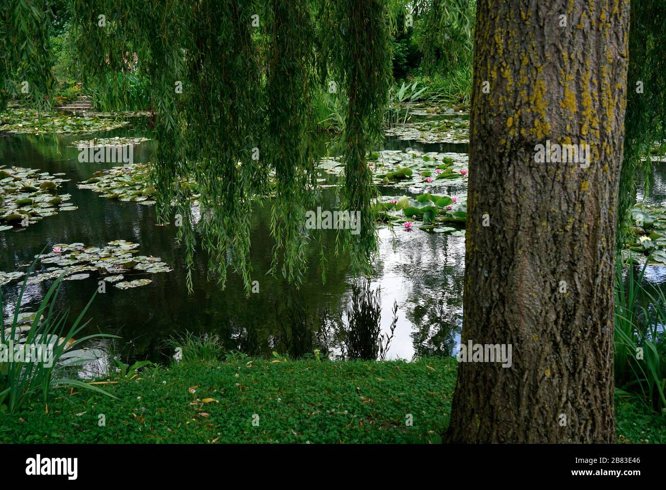 Green the gardens at claude monets house in giverny hi-res stock ...