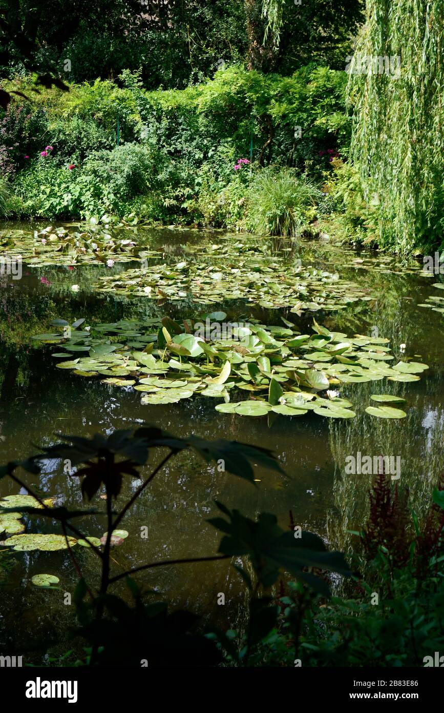 Monets water lily pond hi-res stock photography and images - Alamy