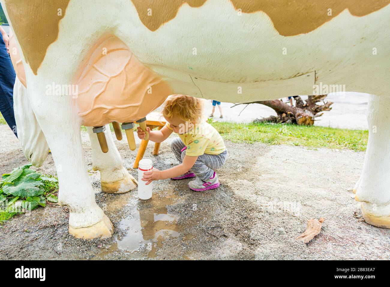 Cute blonde girl learning how to milk a cow on milking simulator Stock ...