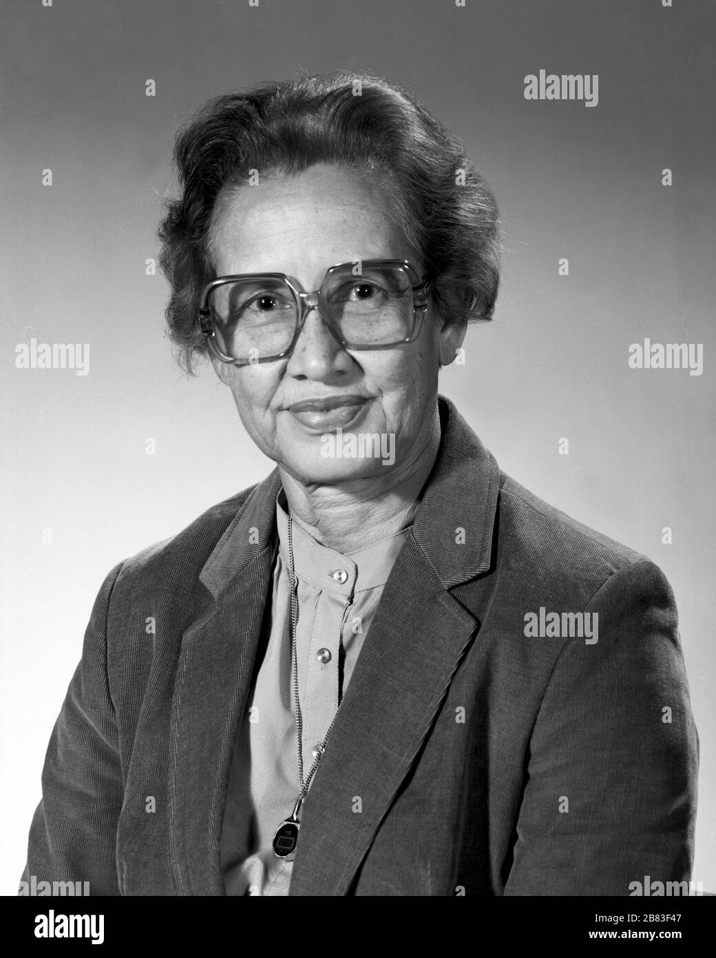 Portrait of NASA human computer and African-American mathematical ...