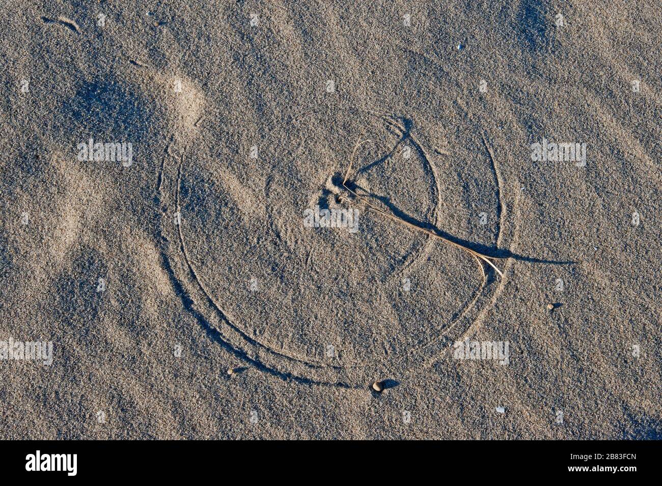 Circular geometric sand pattern and shadow made by wind and beach grass ...
