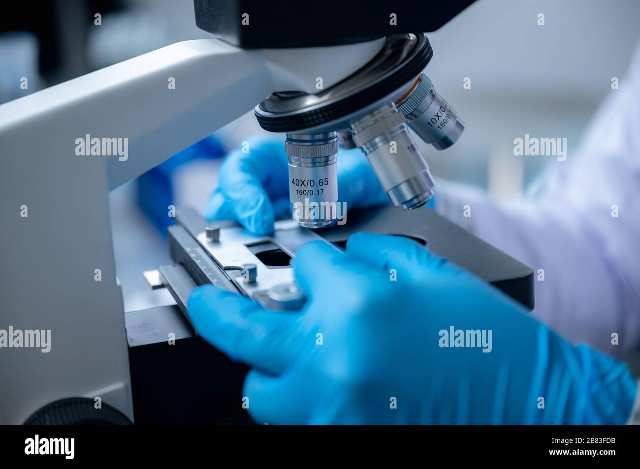 Closeup of Scientific microscope data analysis in the laboratory Stock ...
