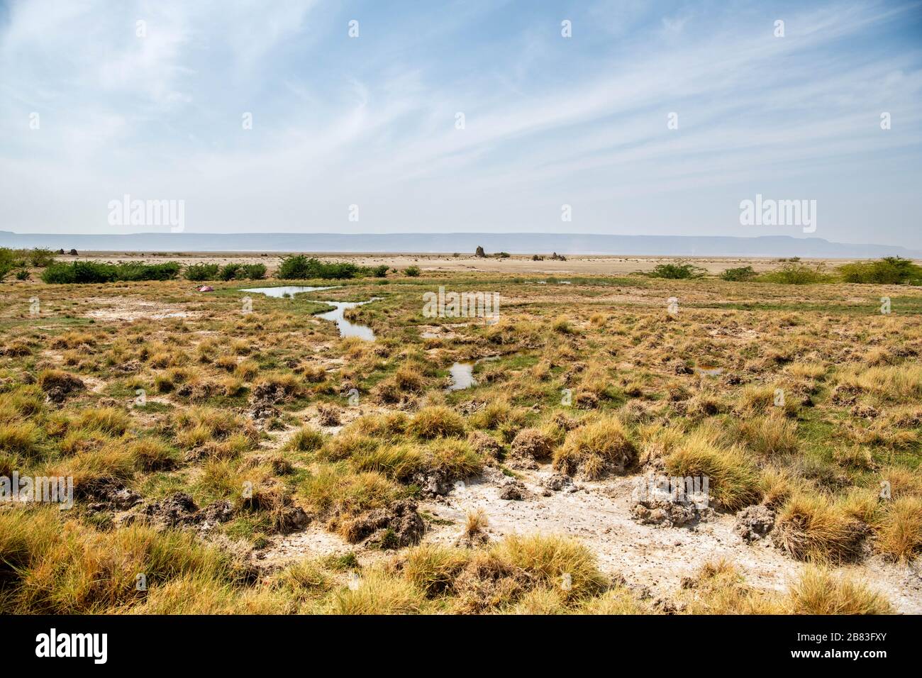 Africa, Djibouti, Lake Abbe. Landscape view of lake Abbe Stock Photo ...