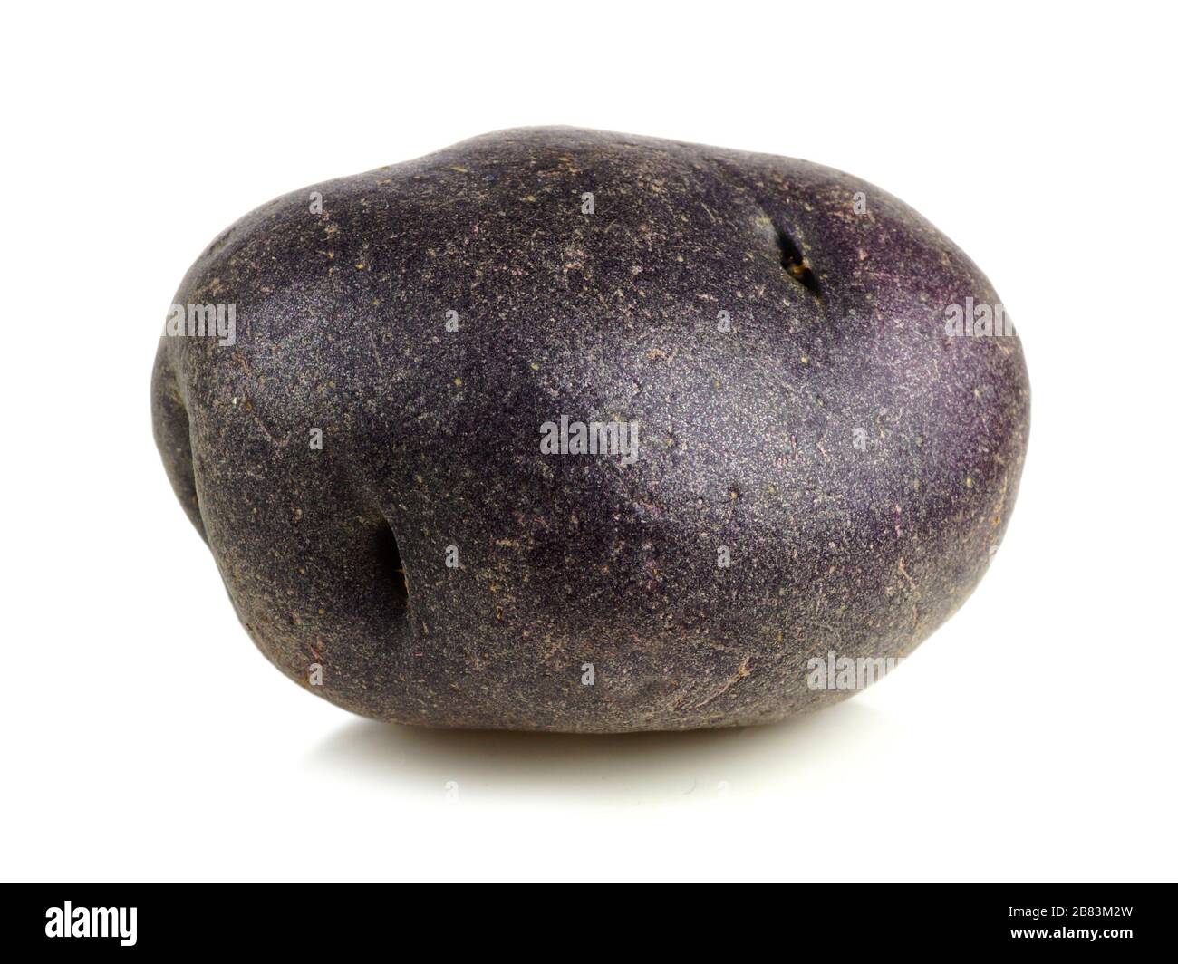 Single small purple potato isolated on a white background Stock Photo ...
