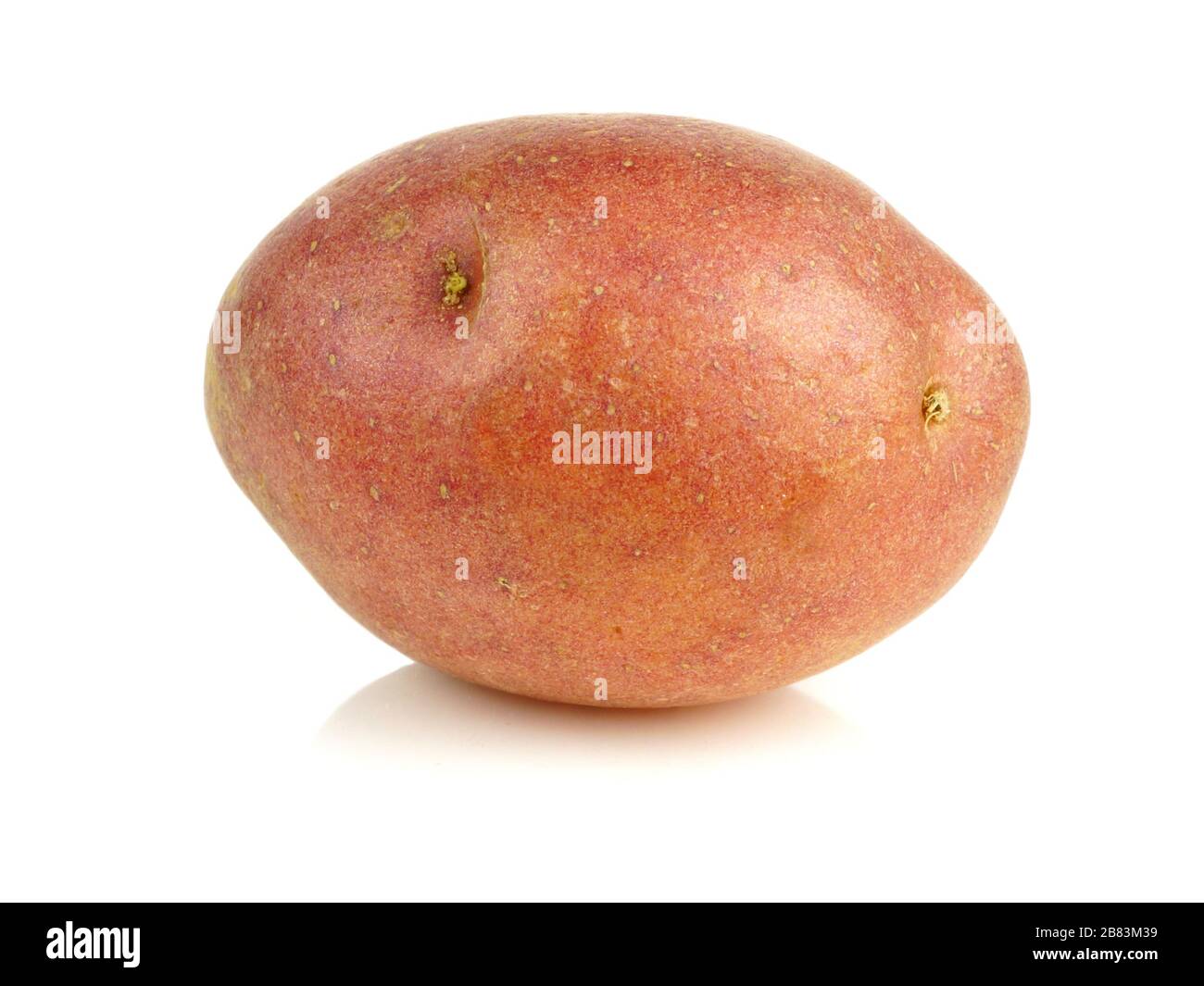 Single small red potato isolated on a white background Stock Photo - Alamy
