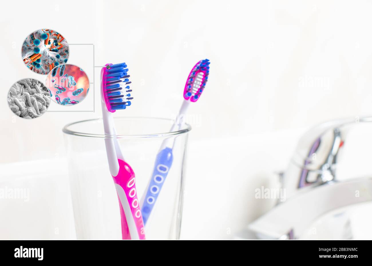 Dental hygiene. Tooth brushes with bacteria in glass in the bathroom ...