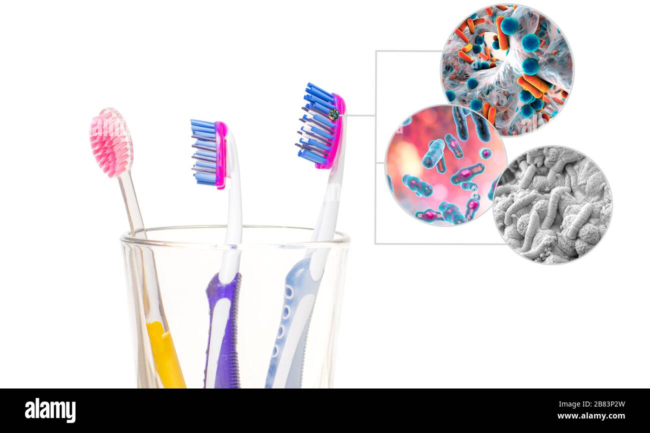 Dental hygiene. Tooth brushes with bacteria in glass on white ...