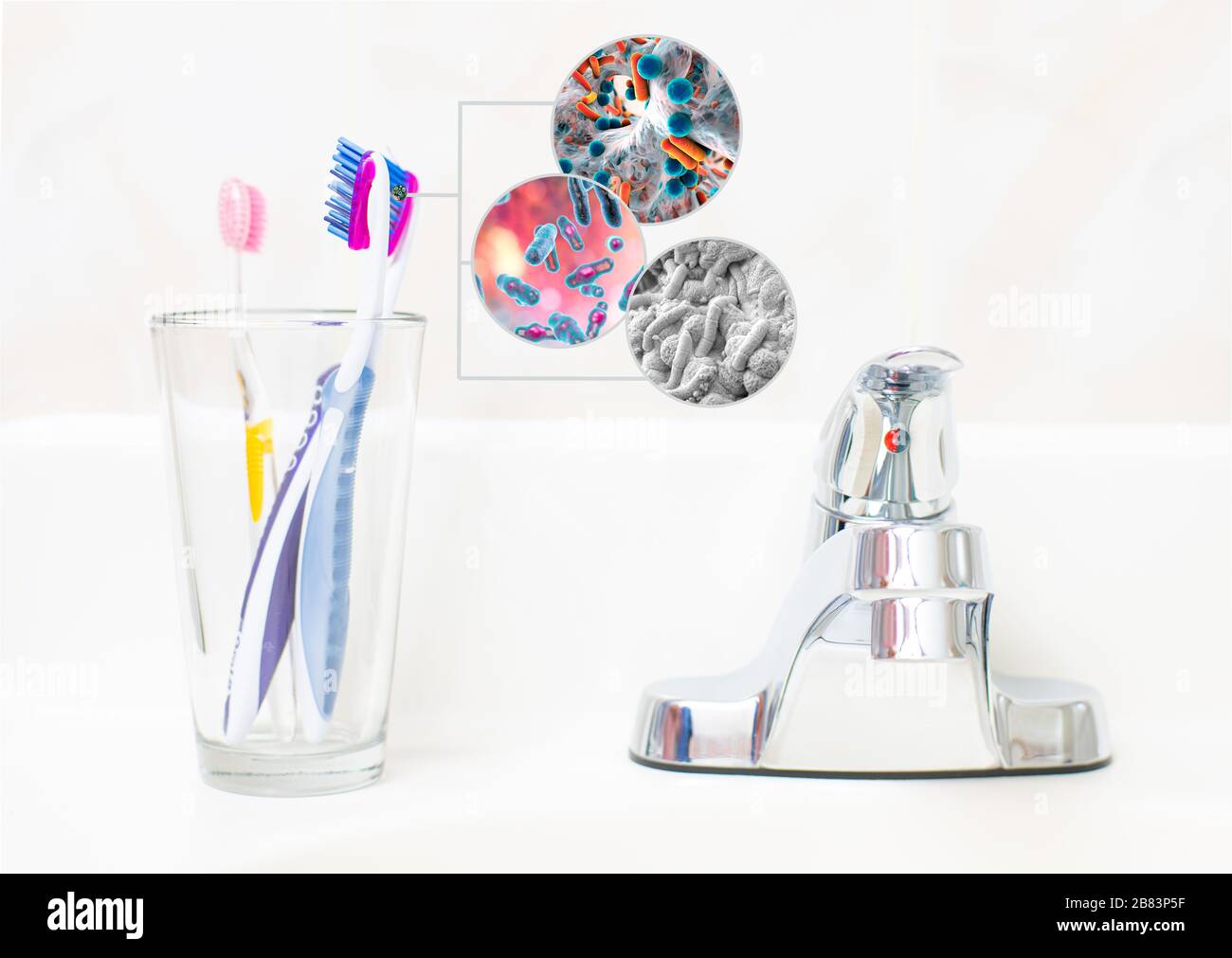 Dental hygiene. Tooth brushes with bacteria in glass in the bathroom ...